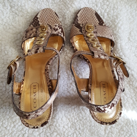 Coach | Shoes | Coach Lalo Python Print Leather Sandals Size 7 | Poshmark